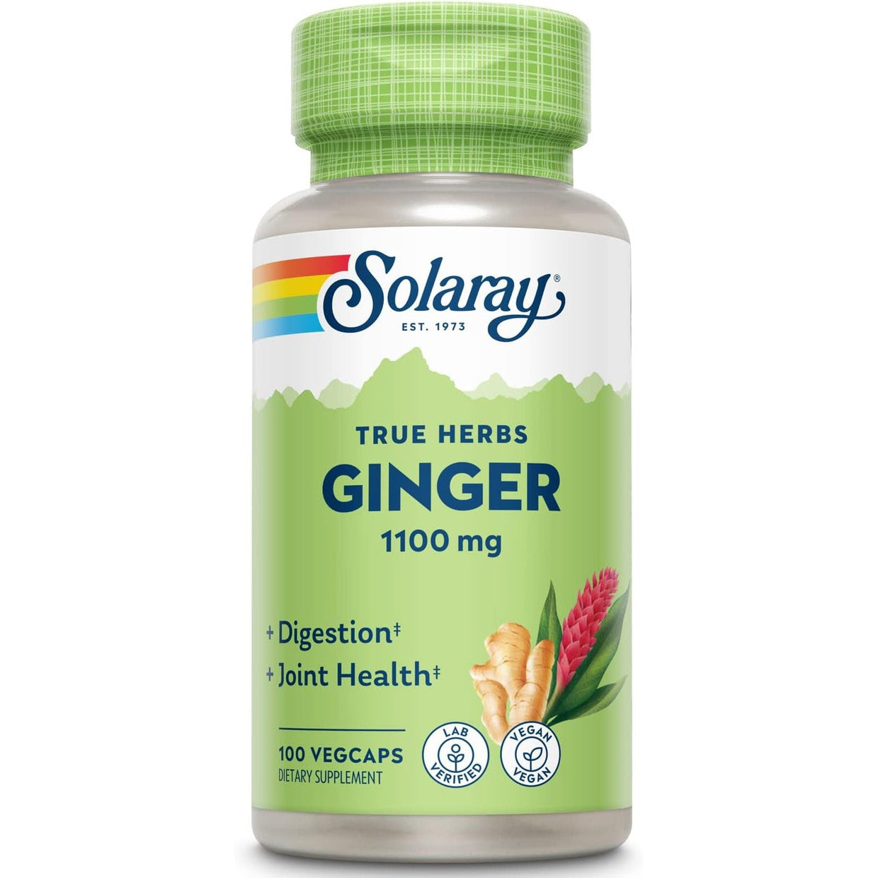 Ginger Root 1100mg for Healthy Digestion, Joints & Stomach Discomfort ...